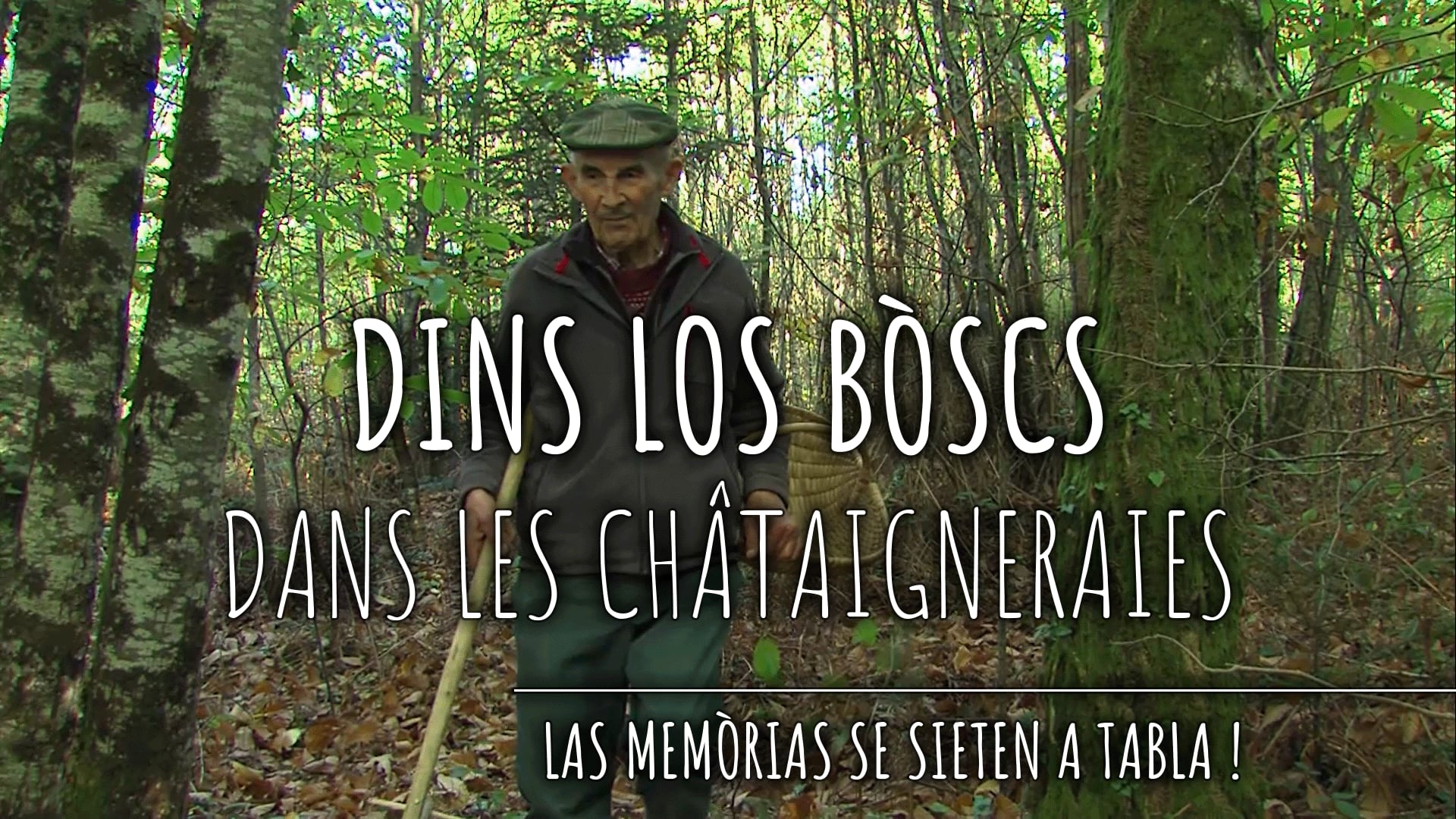 Dins los bòscs - Las memòrias se sieten a tabla