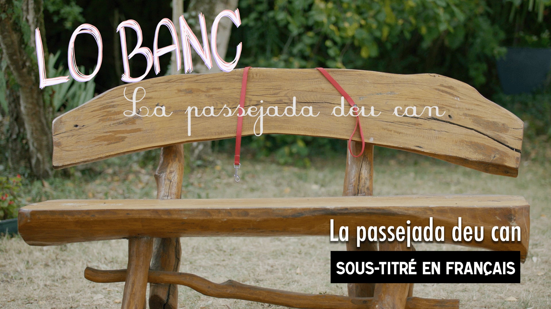 La passejada deu can - Lo banc